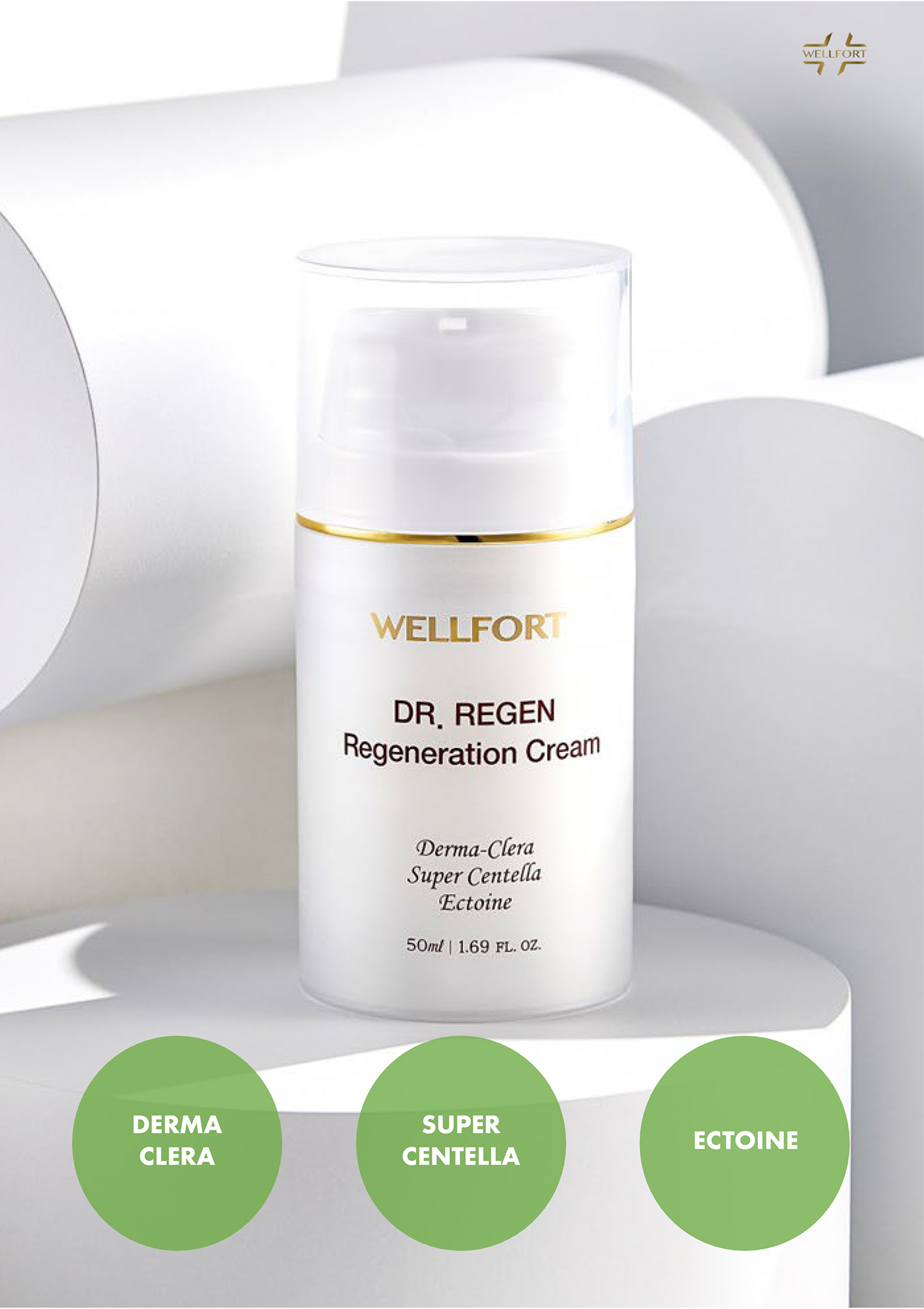 WELLFORT_DrREGEN_2024_Eng-01